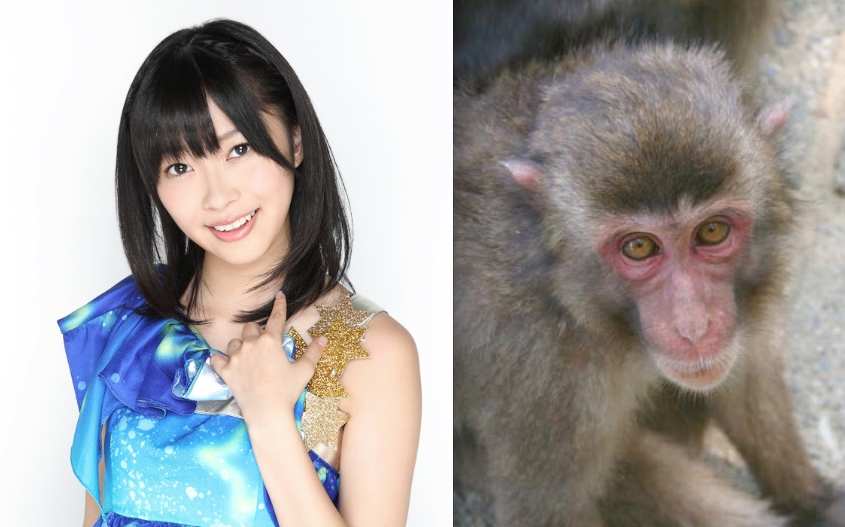 Kyushu HKT48 Girl & Oita Monkey Both Win Popularity Elections | Fukuoka Now